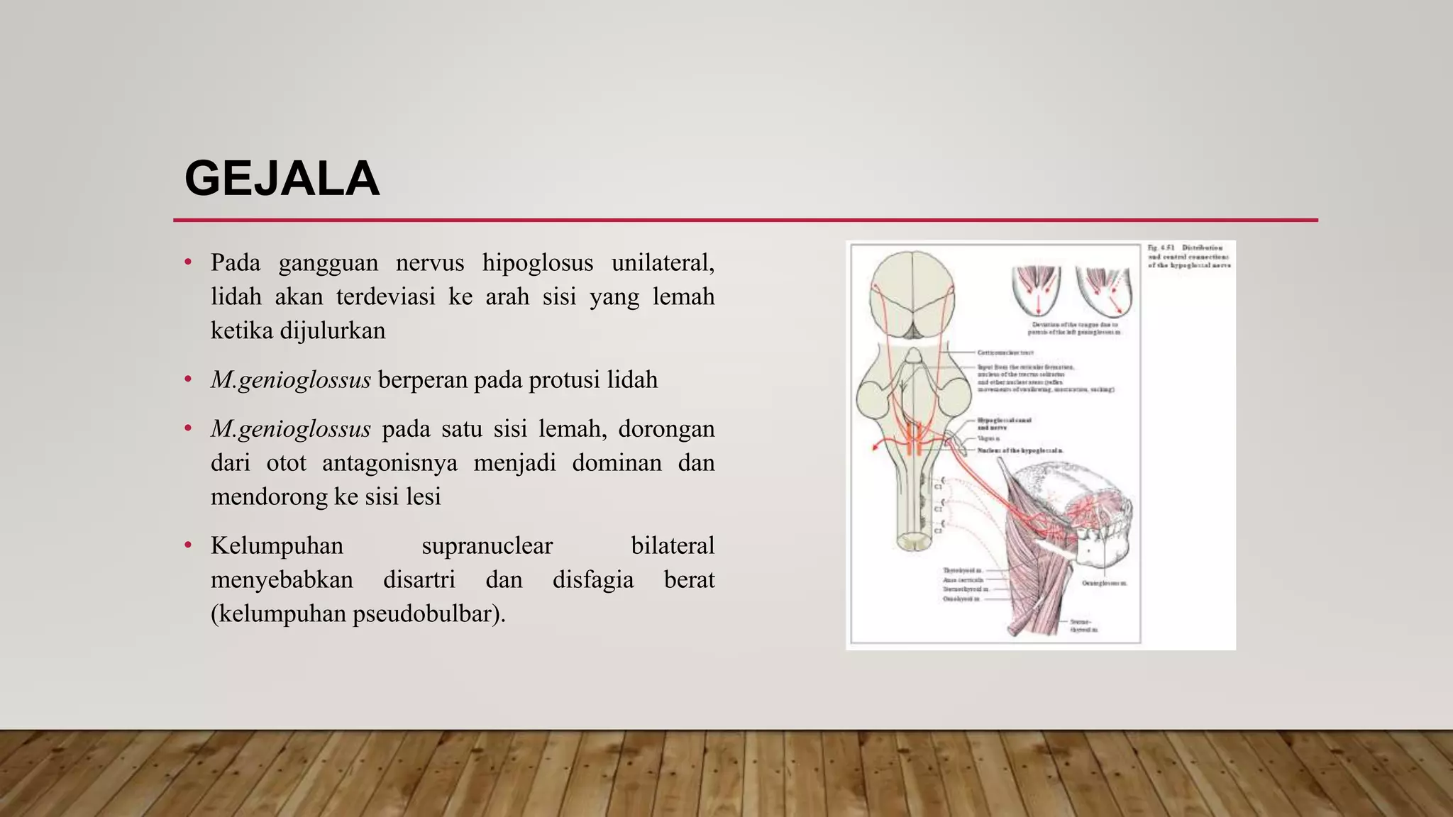 Nervus Hipoglossus snm anatomi (1).pptx