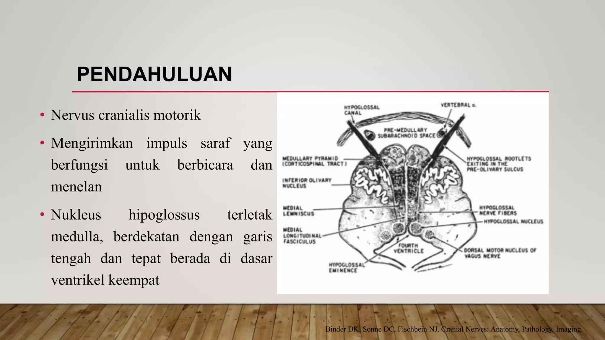 Nervus Hipoglossus snm anatomi (1).pptx