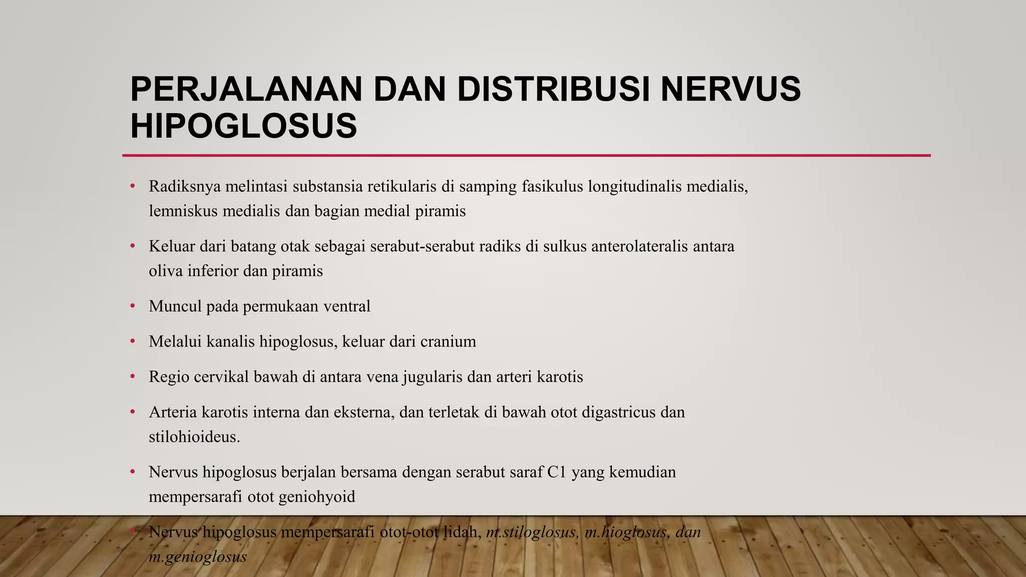 Nervus Hipoglossus snm anatomi (1).pptx