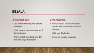 Nervus Hipoglossus snm anatomi (1).pptx