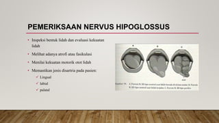 Nervus Hipoglossus snm anatomi (1).pptx