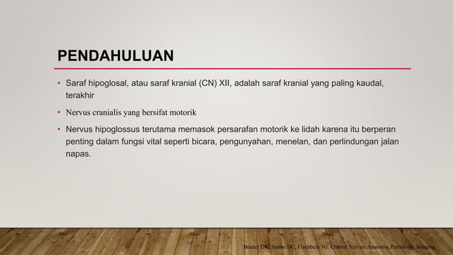 Nervus Hipoglossus snm anatomi (1).pptx