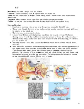 Nervus system | DOCX