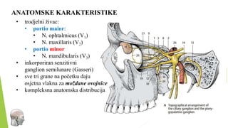 Nervus trigeminus | Anatomsko-funkcionalne karakteristike, klinički ...