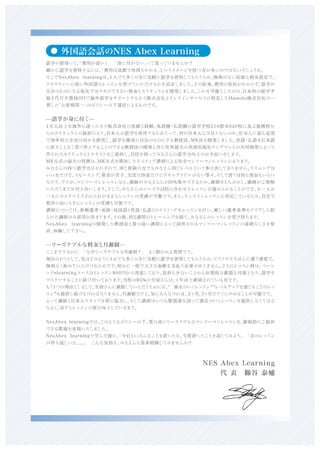 NES Abex Document | PDF