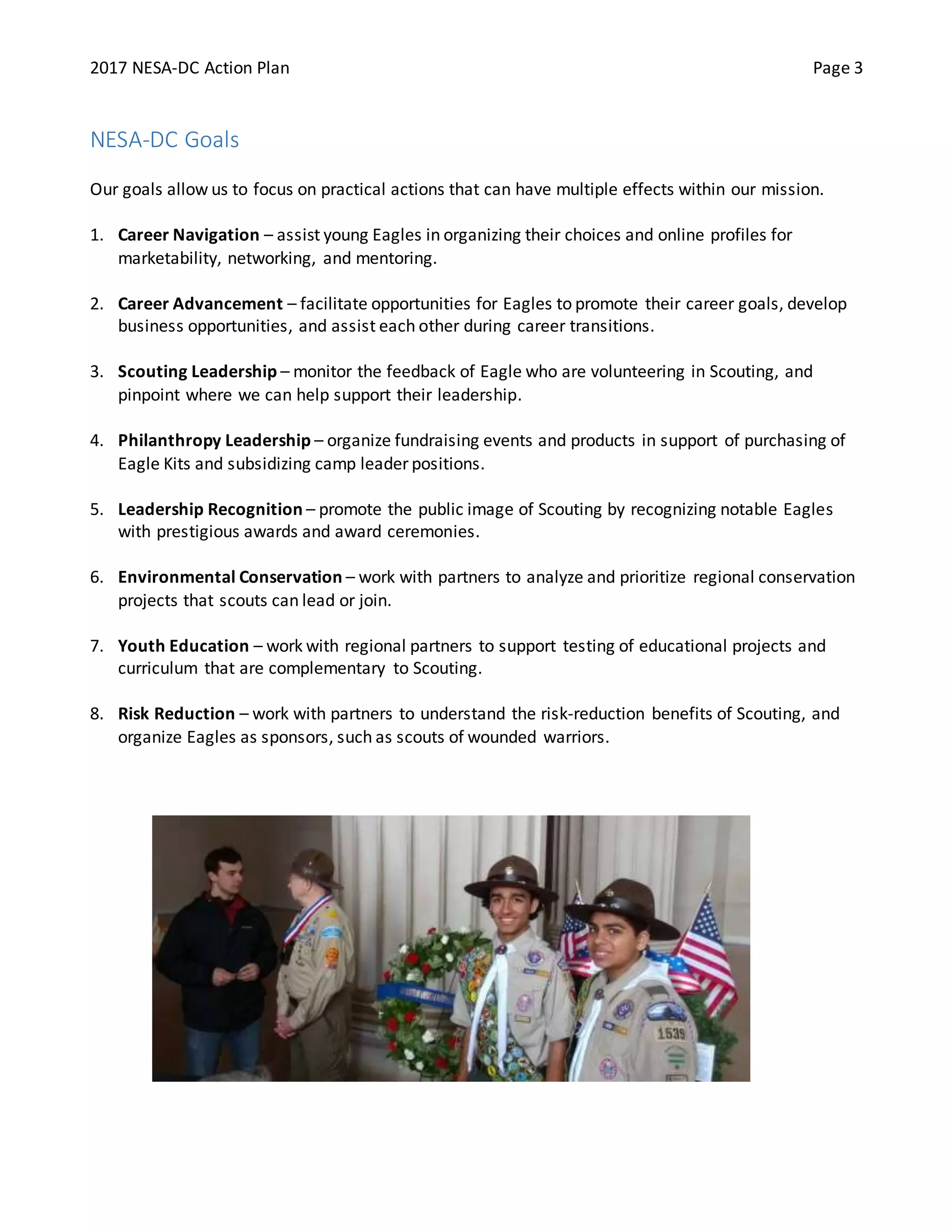 NESA DC 2017 Action Plan | DOCX