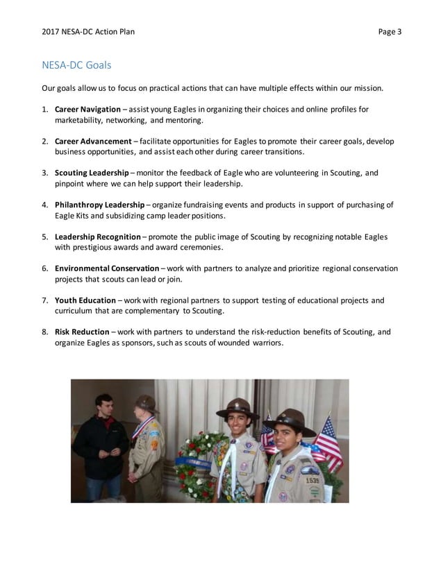 NESA DC 2017 Action Plan | DOCX