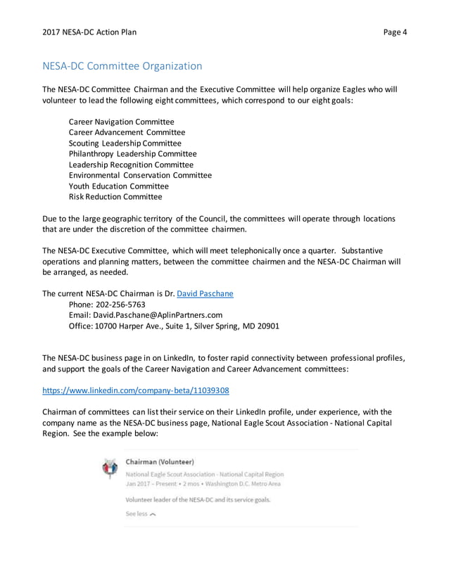 NESA DC 2017 Action Plan | DOCX