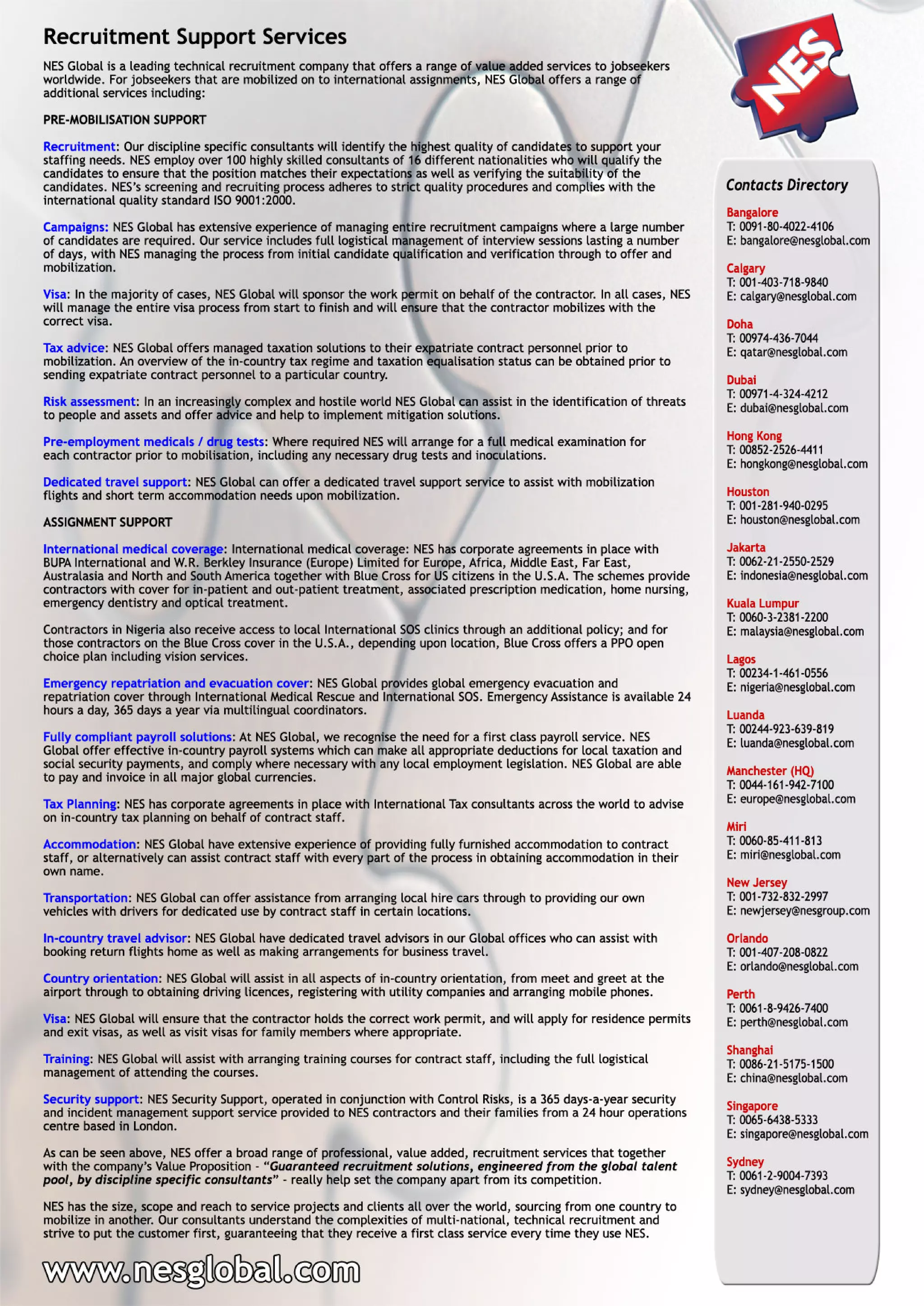 Nes Global 2009 | PDF