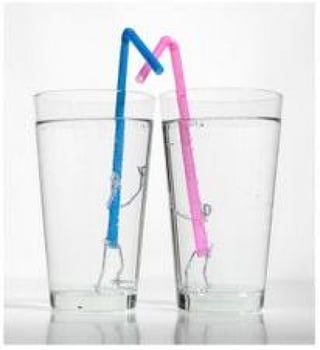 Personalized Objects | PDF