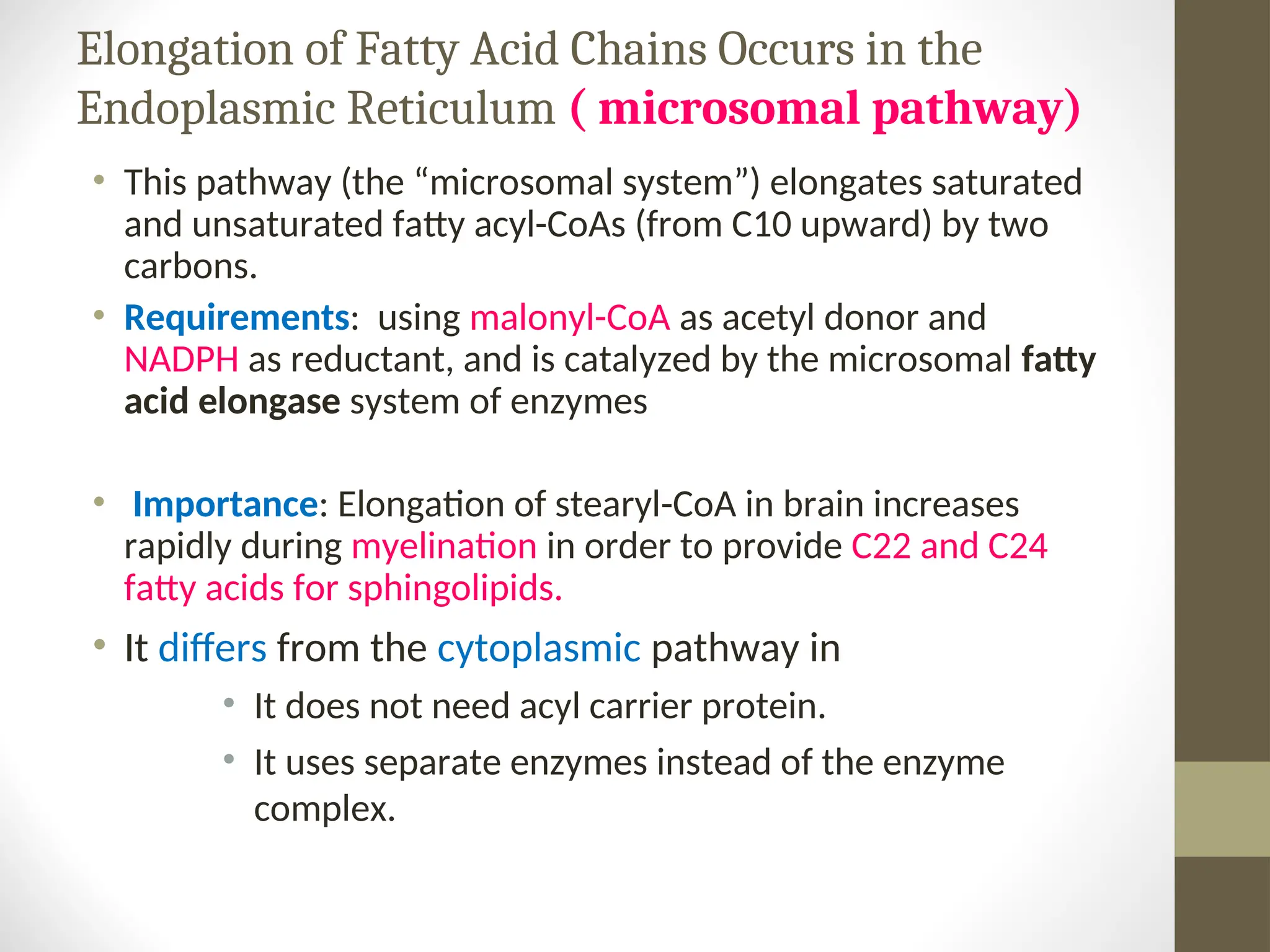 lipid metabolism fatty acid synthesis.ppt