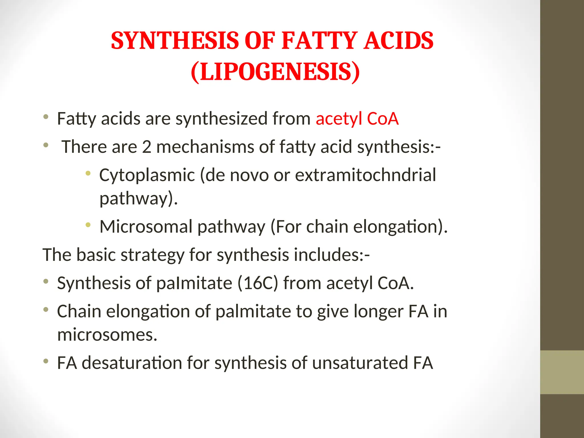 lipid metabolism fatty acid synthesis.ppt