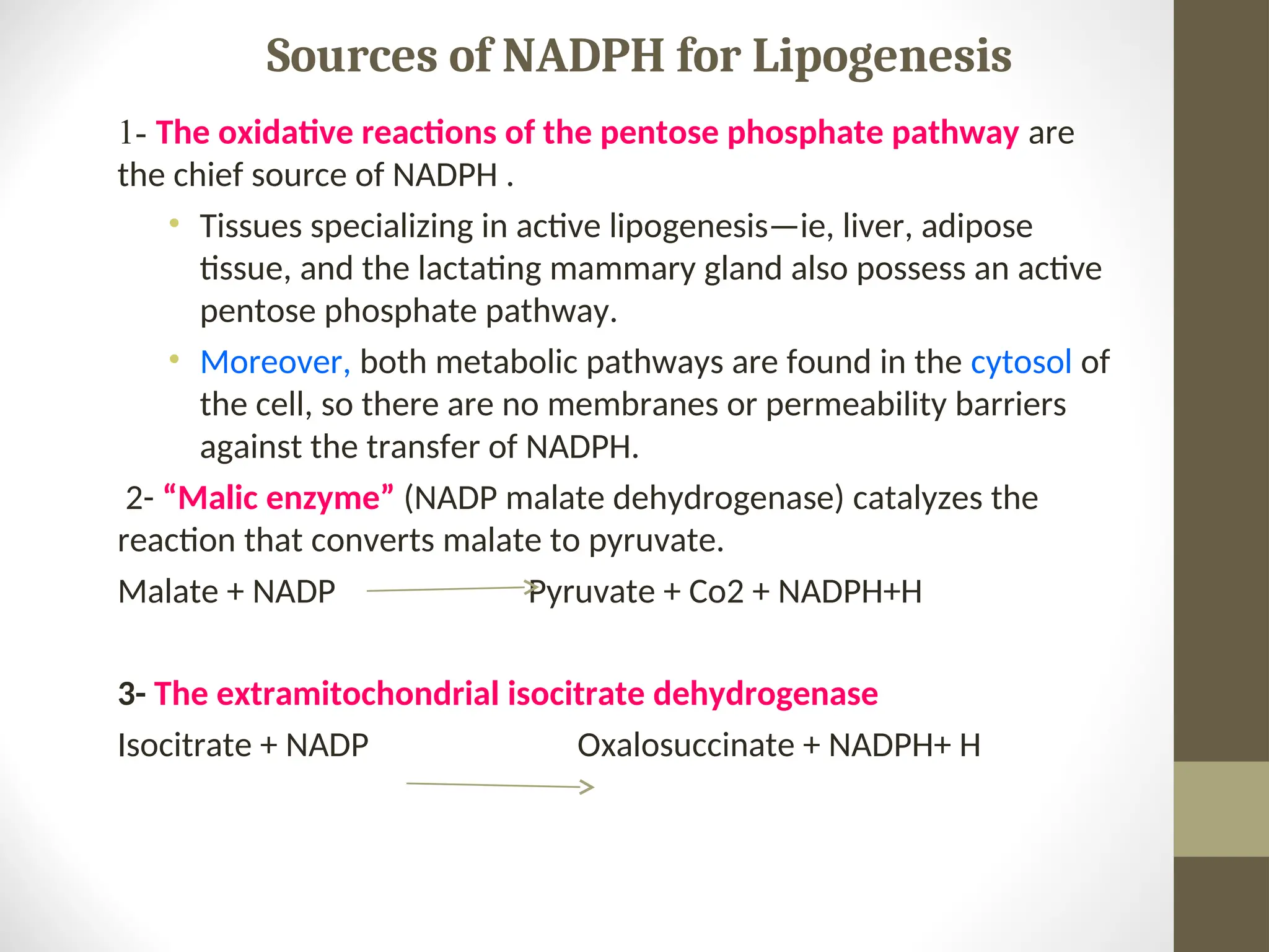 lipid metabolism fatty acid synthesis.ppt