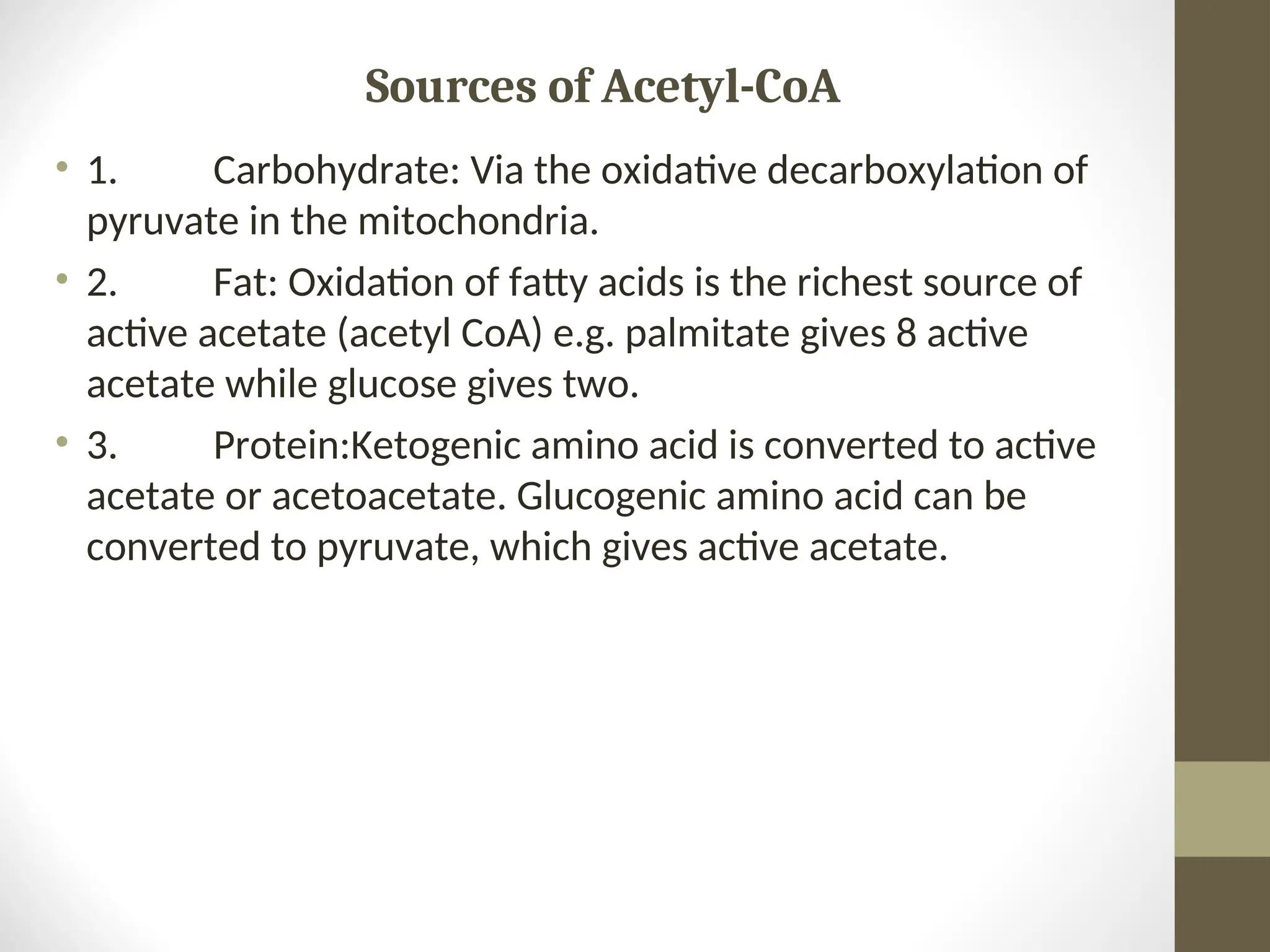lipid metabolism fatty acid synthesis.ppt