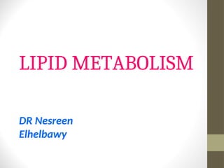 lipid metabolism fatty acid synthesis.ppt