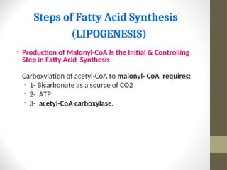 lipid metabolism fatty acid synthesis.ppt