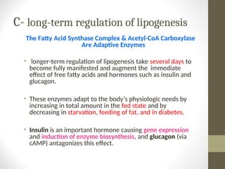 lipid metabolism fatty acid synthesis.ppt