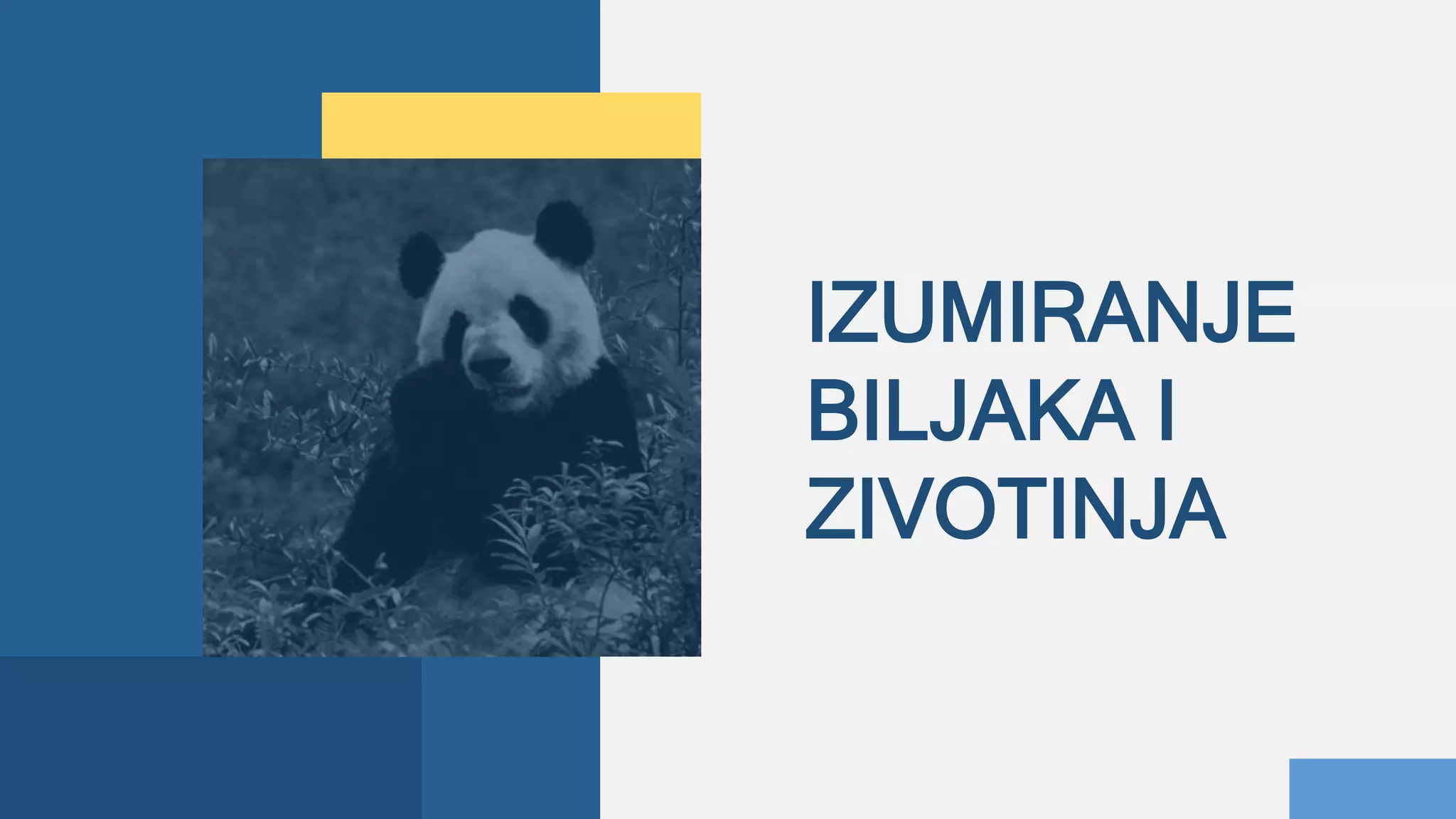 Nestajanje biljaka i zivotinja (1) | PPT