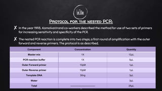 Nested pcr | PPTX | Chemistry | Science