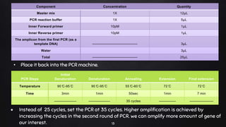 Nested pcr | PPTX | Chemistry | Science