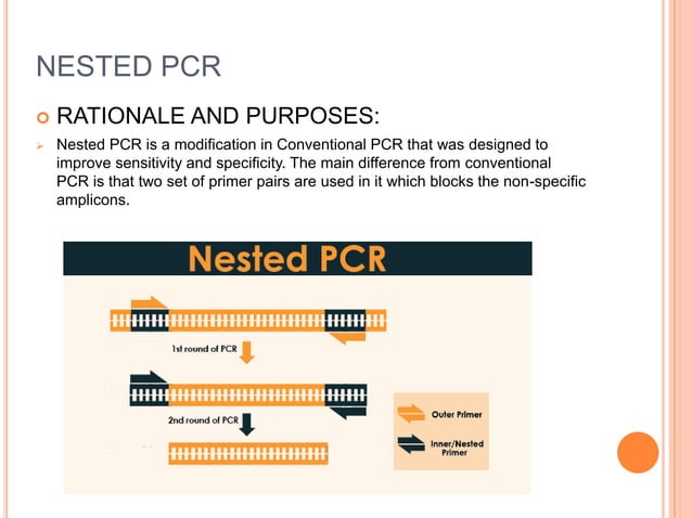 Nested pcr | PPTX | Genetics | Science
