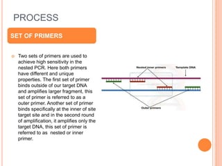 Nested pcr | PPTX