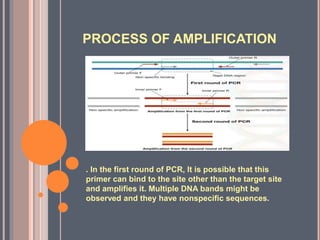 Nested pcr | PPTX