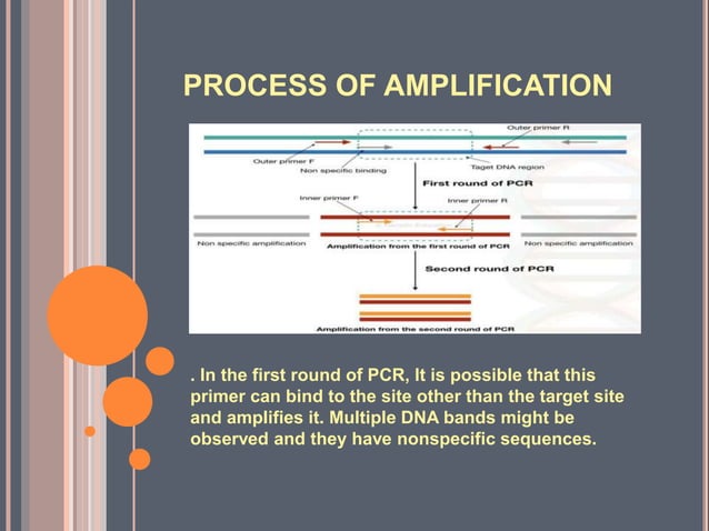 Nested pcr | PPTX | Genetics | Science