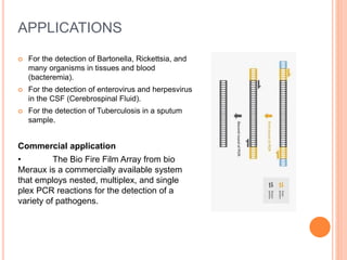 Nested pcr | PPTX