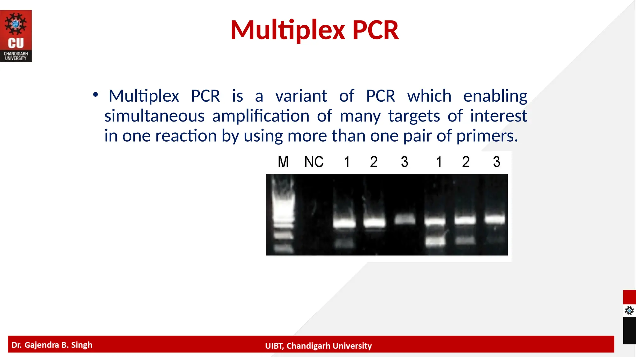 Polymerase Chain Reaction Nested PCR and Multiplex PCR.pptx