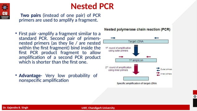 Polymerase Chain Reaction Nested PCR and Multiplex PCR.pptx