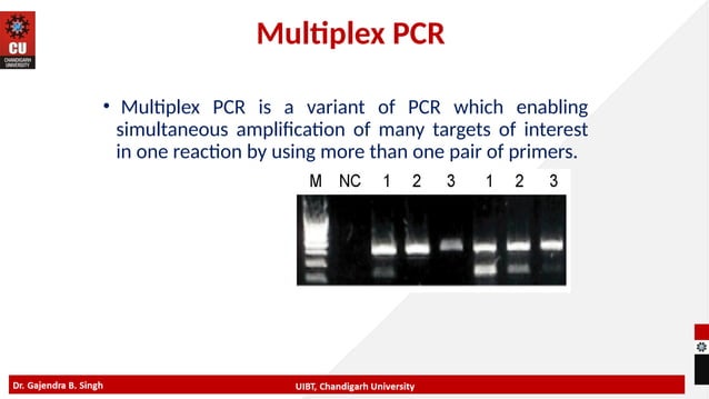 Polymerase Chain Reaction Nested PCR and Multiplex PCR.pptx