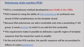 Nested PCR Microteaching ppt by Nitin.pptx