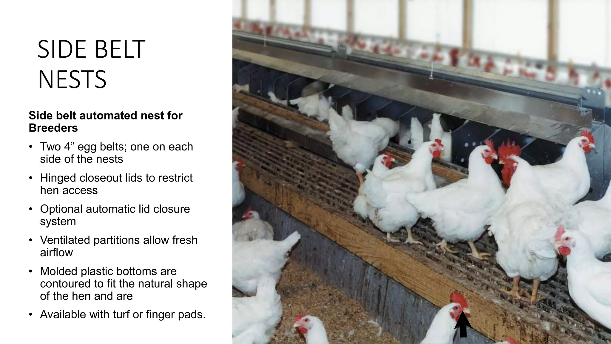 VAL-CO Nesting Options for Broiler Breeders | PPTX