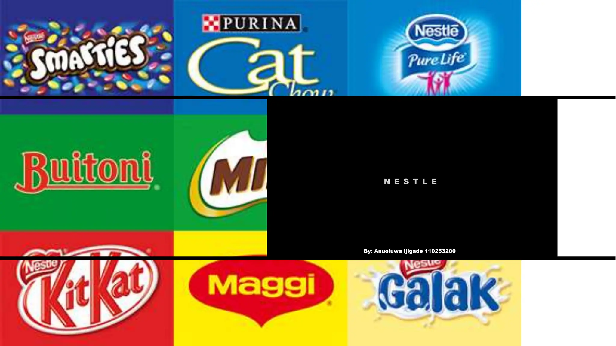 NESTLE Powerpoint.pptx