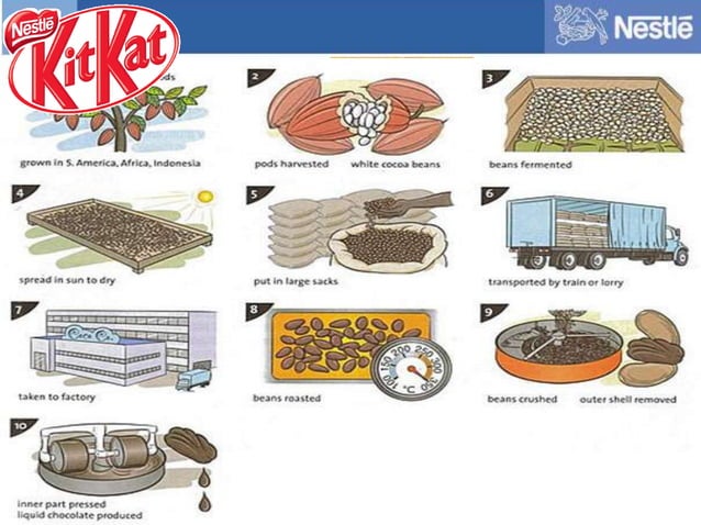 Process of Nestle Coffee and Chocolate | PPTX | Food Industry | Industries