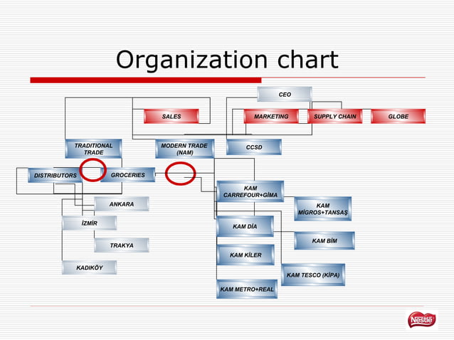 Nestle Sales Management | PPT | Business Administration | Business