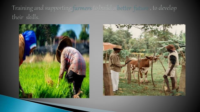 nestle training and development..pptx