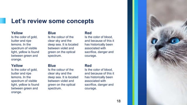 Nice template for ppt or google slides | PPT