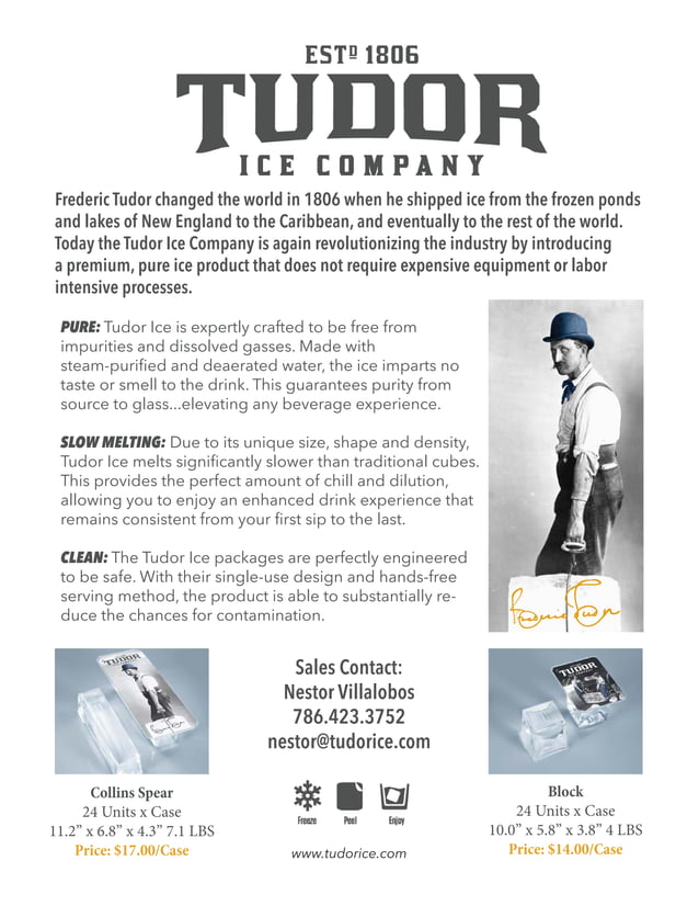 Tudor Ice Sales Sheet | PDF