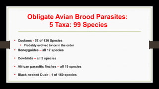 Nest parasitism in birds | PPT