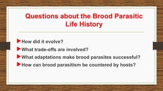 Nest parasitism in birds | PPT