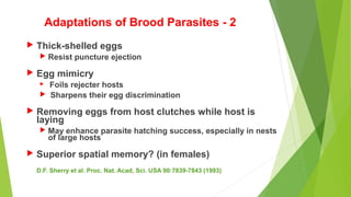 Nest parasitism in birds | PPT