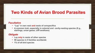 Nest parasitism in birds | PPT