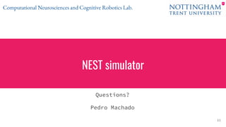 Nest simulator | PPT