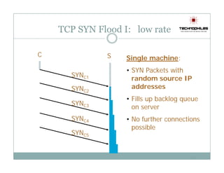 Network and DNS Vulnerabilities | PDF