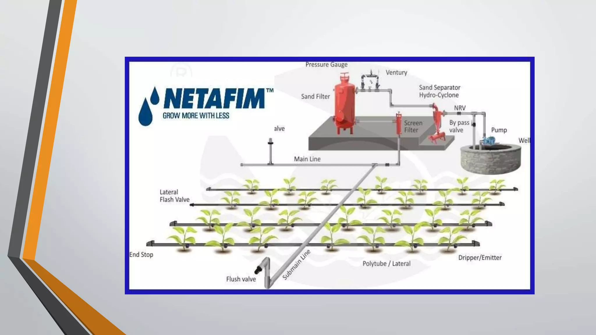 Drip irrigation system | PPTX | Agriculture | Industries