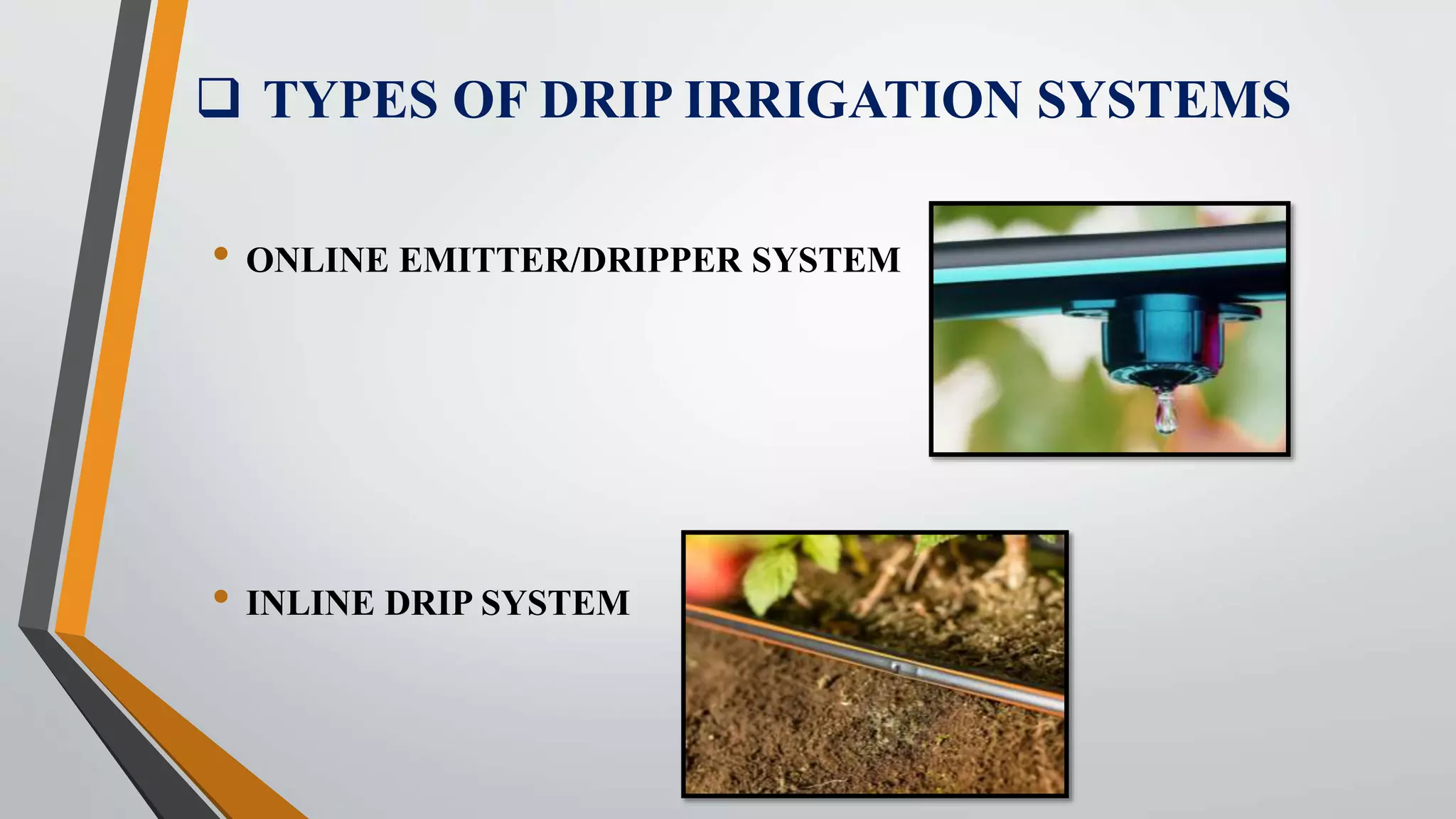 Drip irrigation system | PPTX