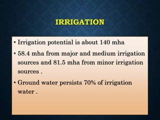 Netafim irrigation india pvt ltd | PPTX