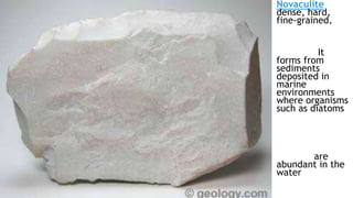 Metamorphic rocks | PPTX